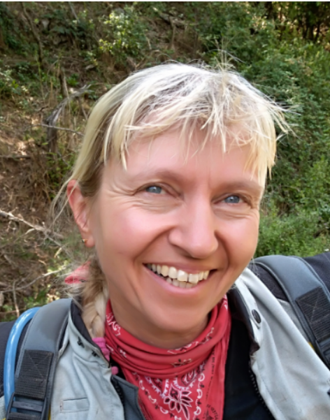 Der Vorstand – MSI